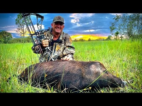 2 Epic Bow Hunts For Wild Boar With No Ears!!!! {catch Clean Cook ...