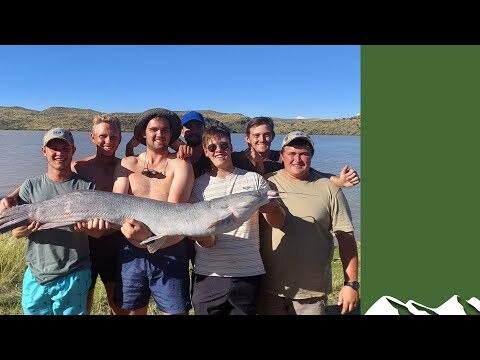 Catching Big African Catfish | Hunting.gg