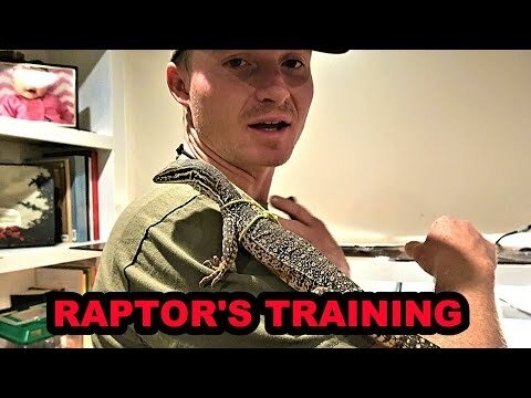 Amazing New Taming Tool!!! | Hunting.gg