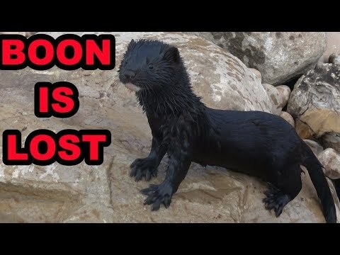 Where Is Boon?!?!?!? | Hunting.gg