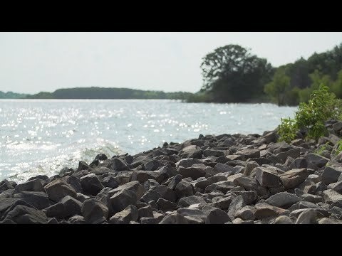 Cooper Lake State Park - Texas Parks And Wildlife [official]